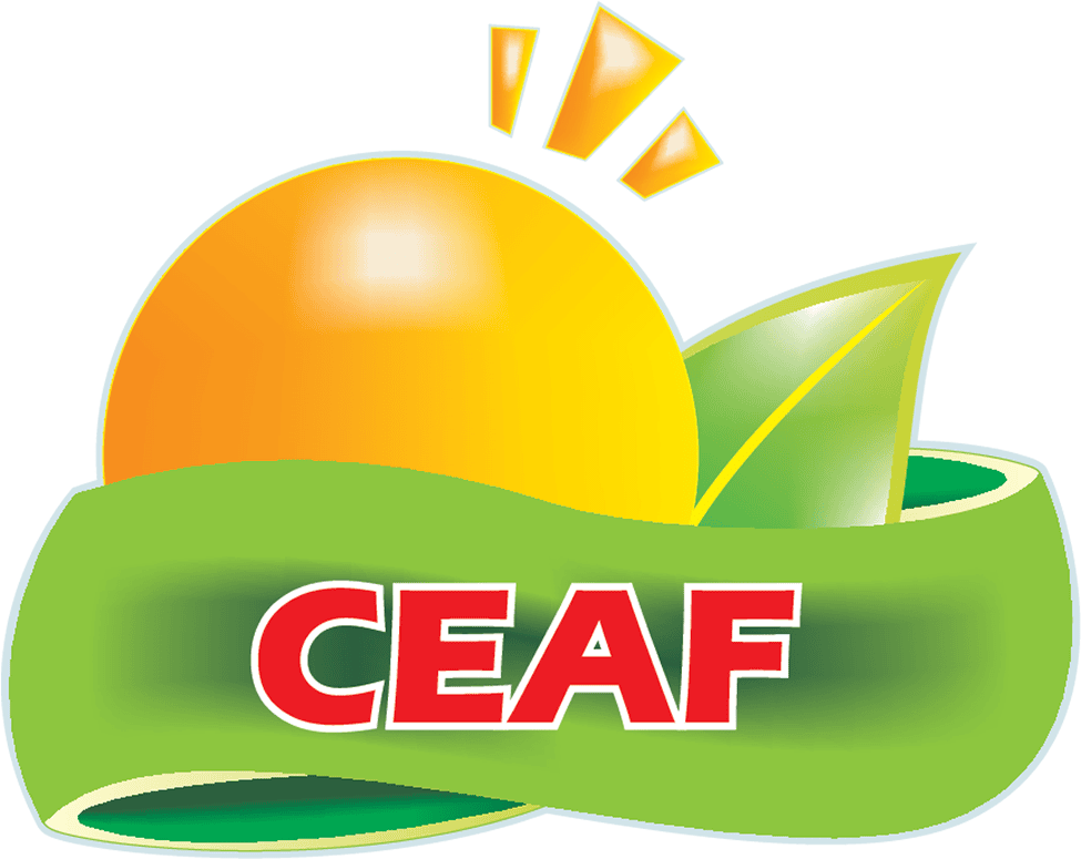ceaf.vn